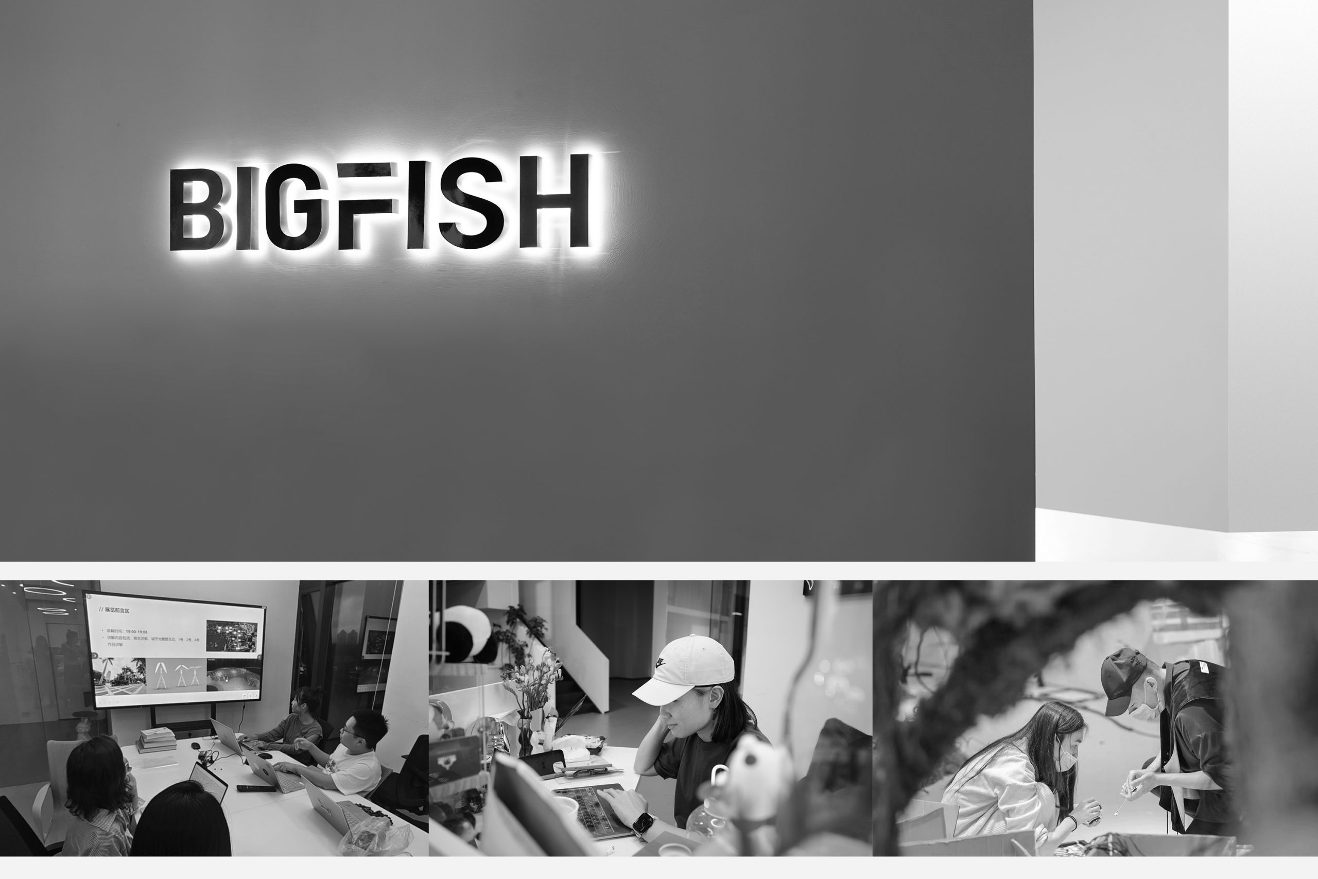 ABOUT US – BIGFISH